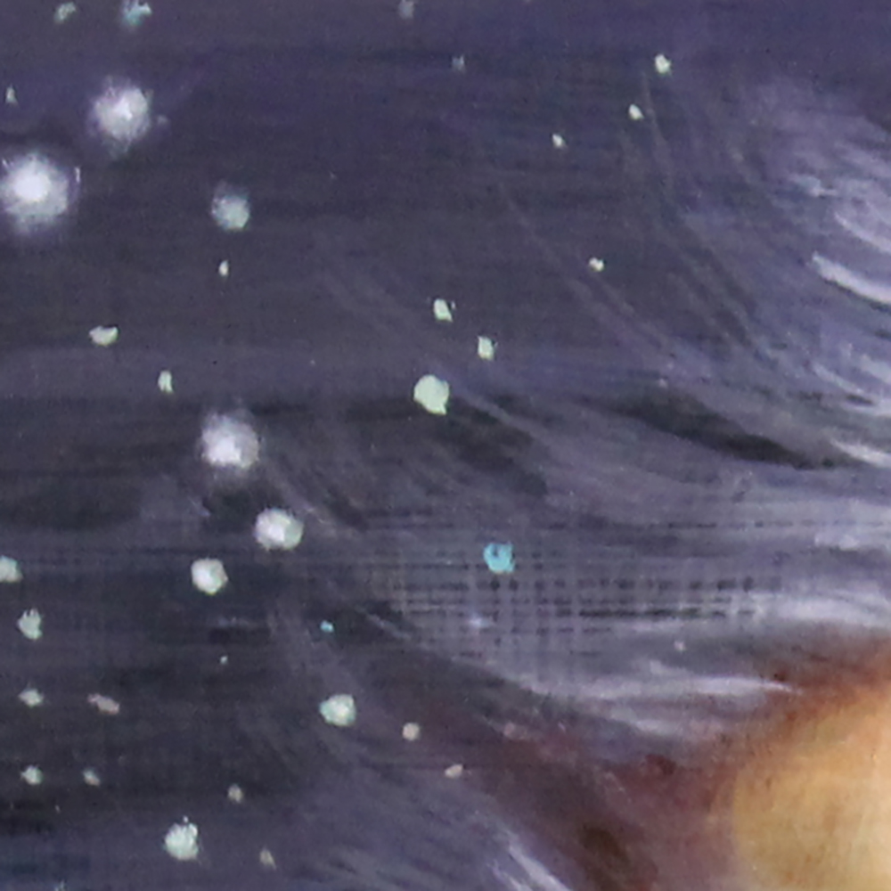 "Cosmic Joker" Donna Bates (Born 1947)